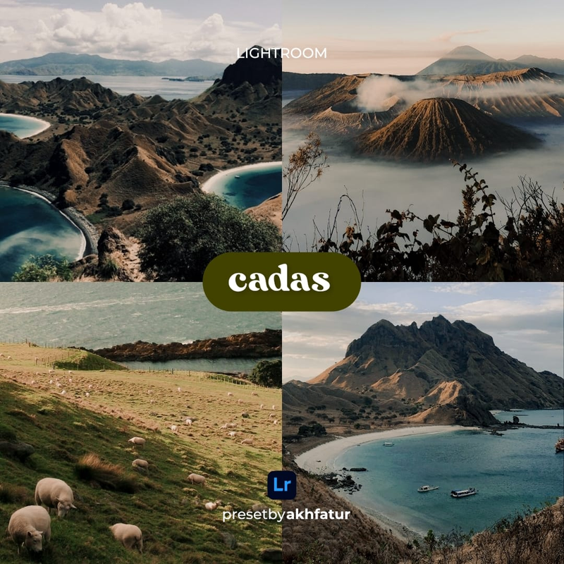 Purchase Preset Lightroom Premium "Cadas" by Akhfatur | Clicky