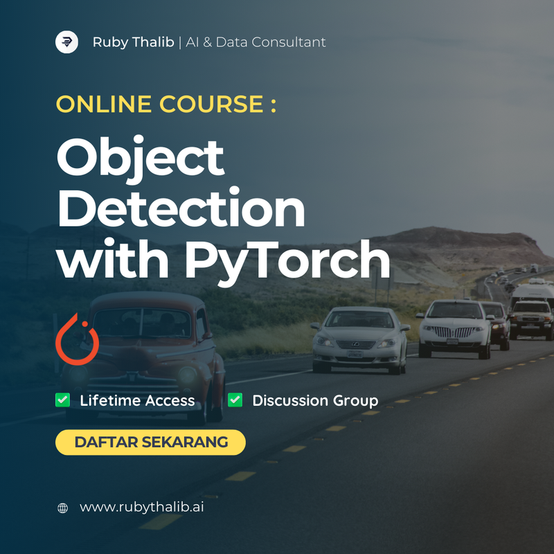 Purchase Online Course : Object Detection with PyTorch | Clicky