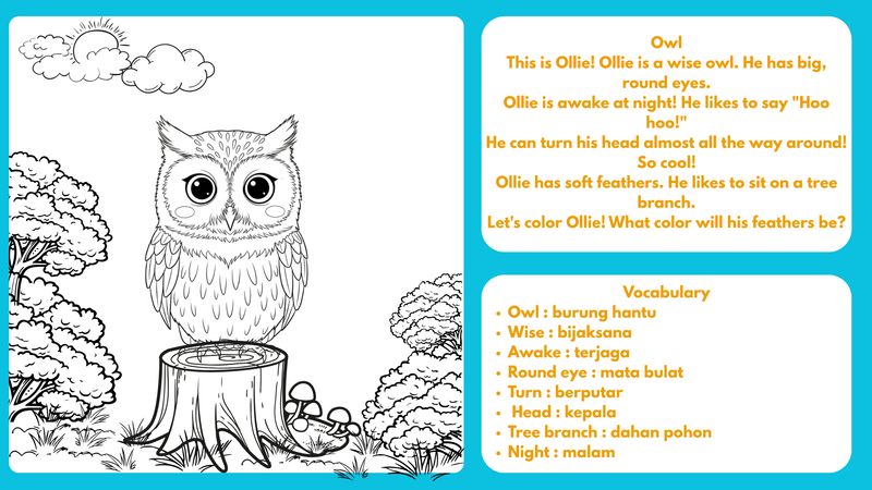 Ebook Mewarnai Edukatif printable vol.1 A4/letter | Clicky