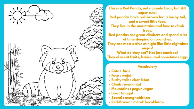 Ebook Mewarnai Edukatif printable vol.1 A4/letter | Clicky